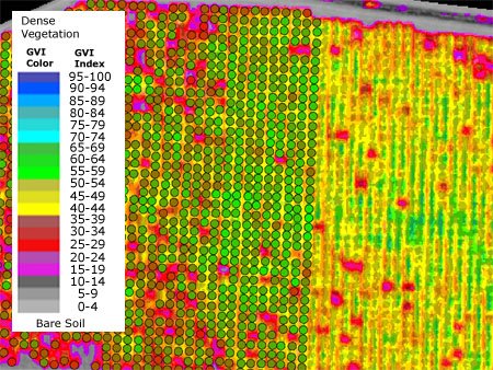 TreeGrading, Agriculture Mapping | Satellite Imaging Corp