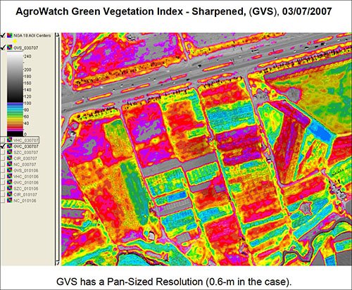 Green Vegetation Index Sample Satellite Images | Satellite Imaging Corp