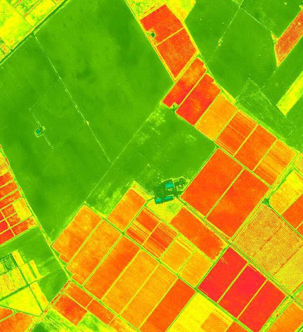 2m Enhanced Vegetation Indices, Satellite Map | Satellite Imaging Corp