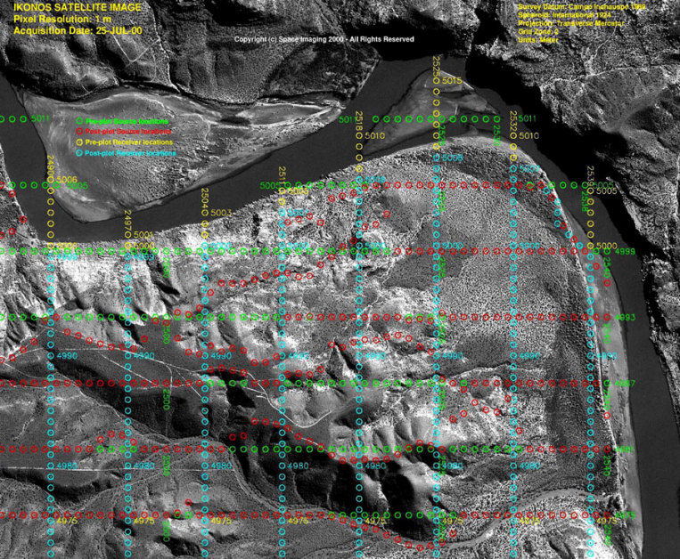 IKONOS Satellite Image Argentina | Satellite Imaging Corp