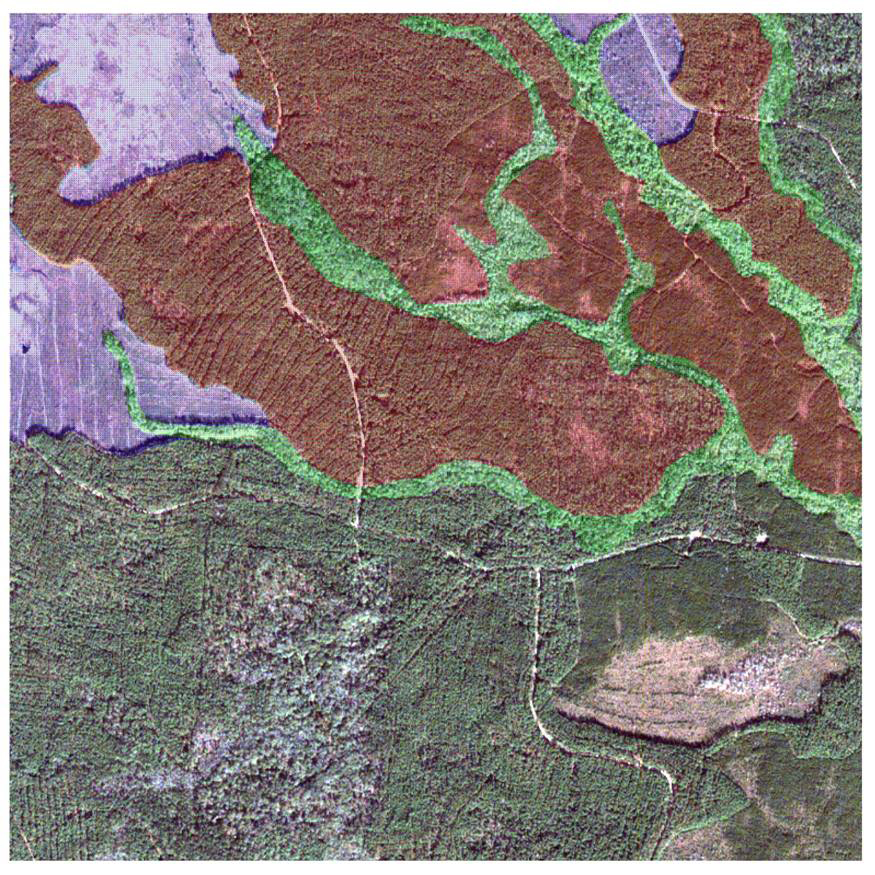 QuickBird Spectral Classification Forest | Satellite Imaging Corp